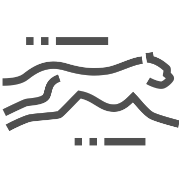 Fast, motion, movement icon vector icon